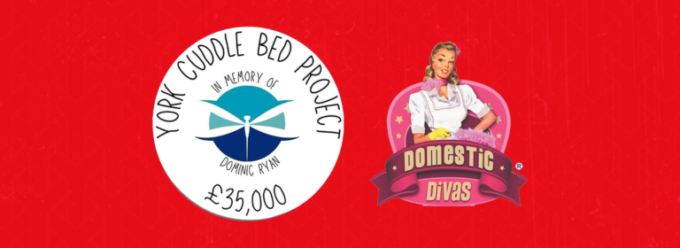 The York Cuddle Bed Project Win Domestic Divas' Donated Match ...
