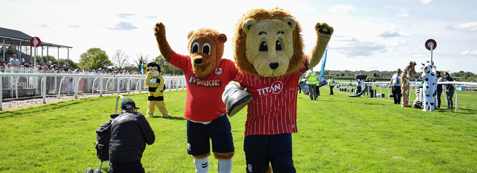 Yorkies complete the Mascot Gold Cup, raising over £2,800! | York City ...