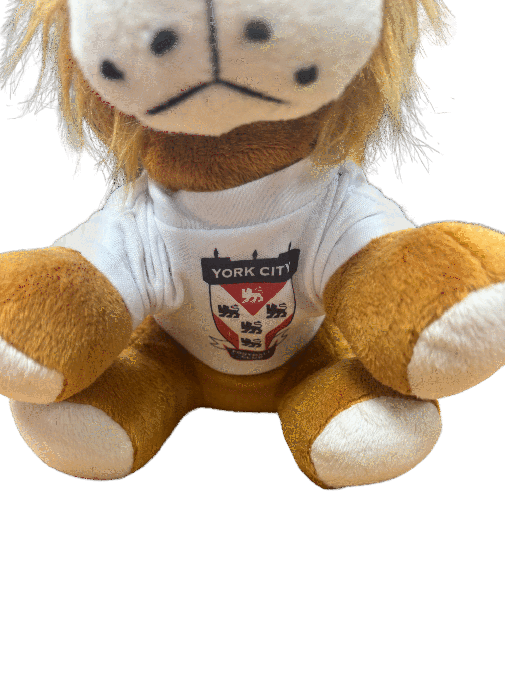 Yorkie Cub Teddy | York City Football Club